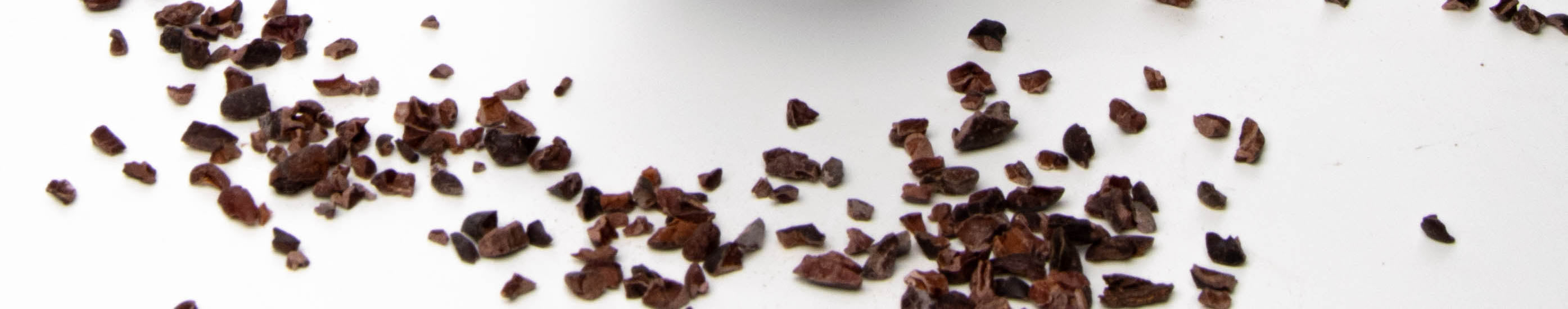 Cocoa superfoods – Pit&Pit EN