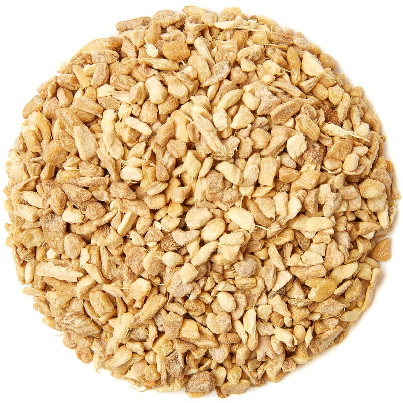 Ginger – Pit&Pit EN