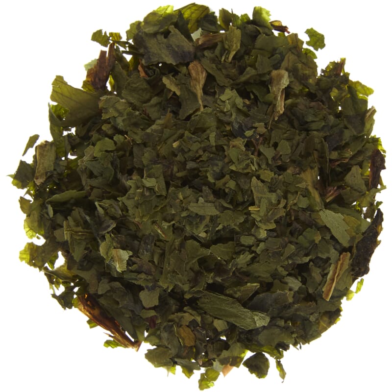 Bear's garlic – Pit&Pit EN