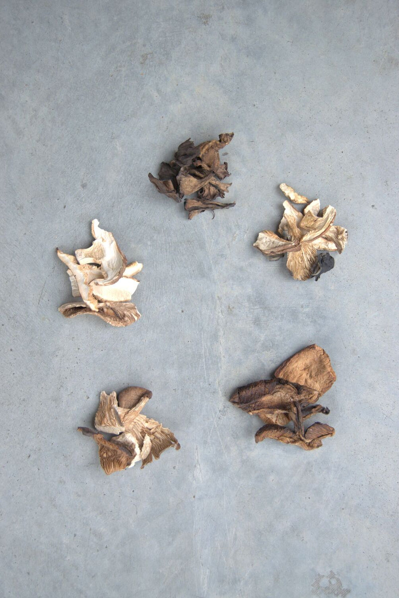 Mushrooms – Pit & Pit