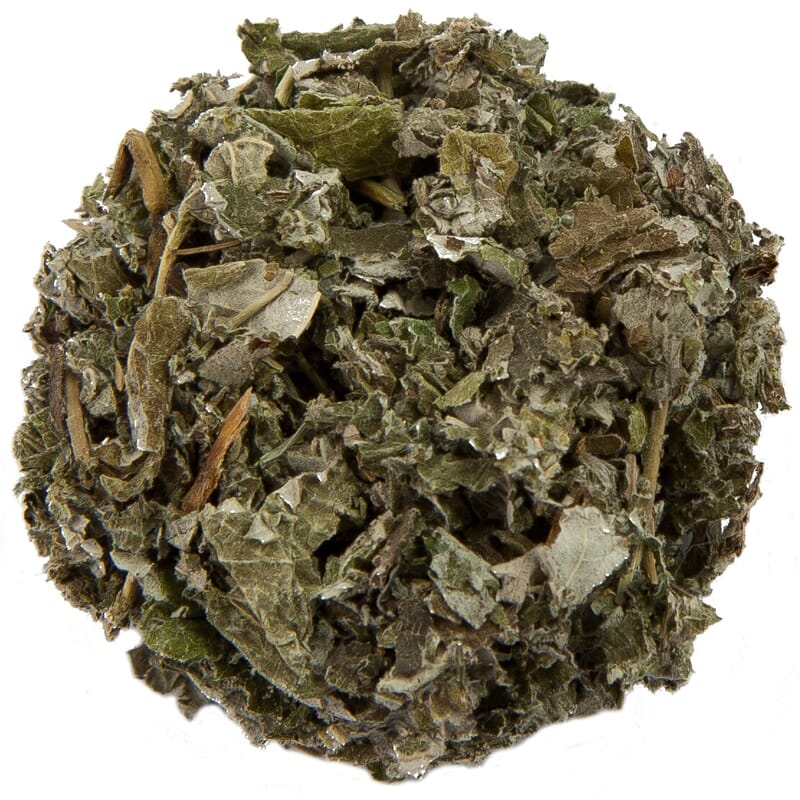 Raspberry leaf – Pit&Pit EN