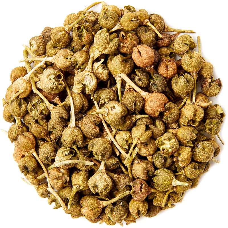 Passion pepper – Pit&Pit EN