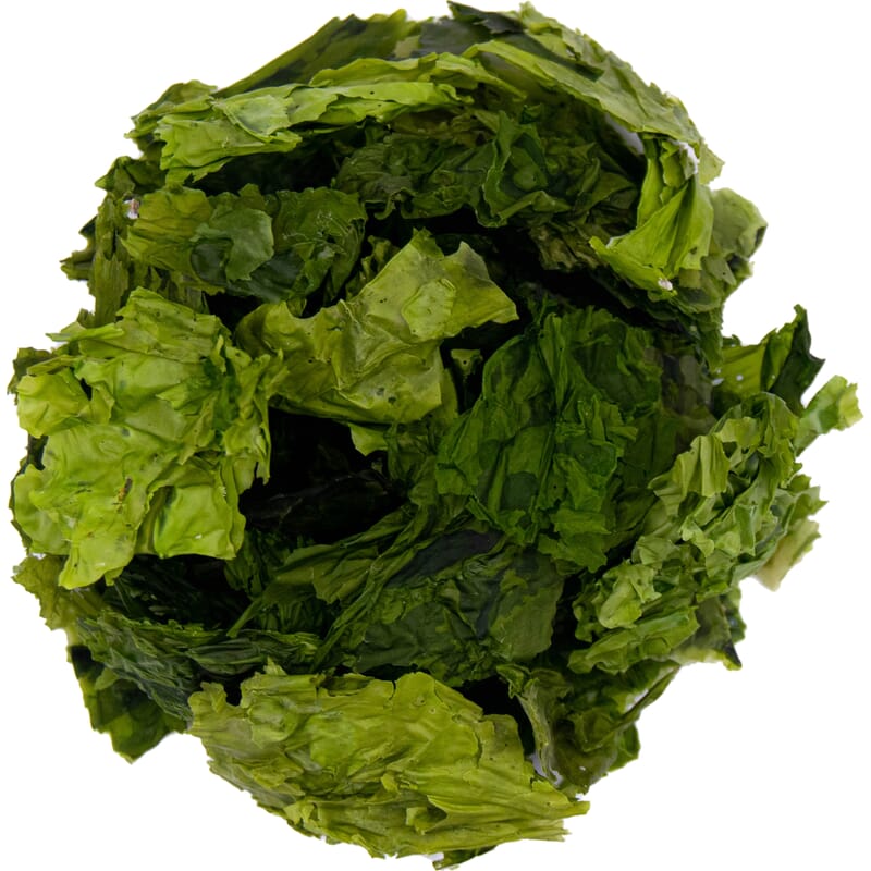 Sea lettuce organic – Pit&Pit EN