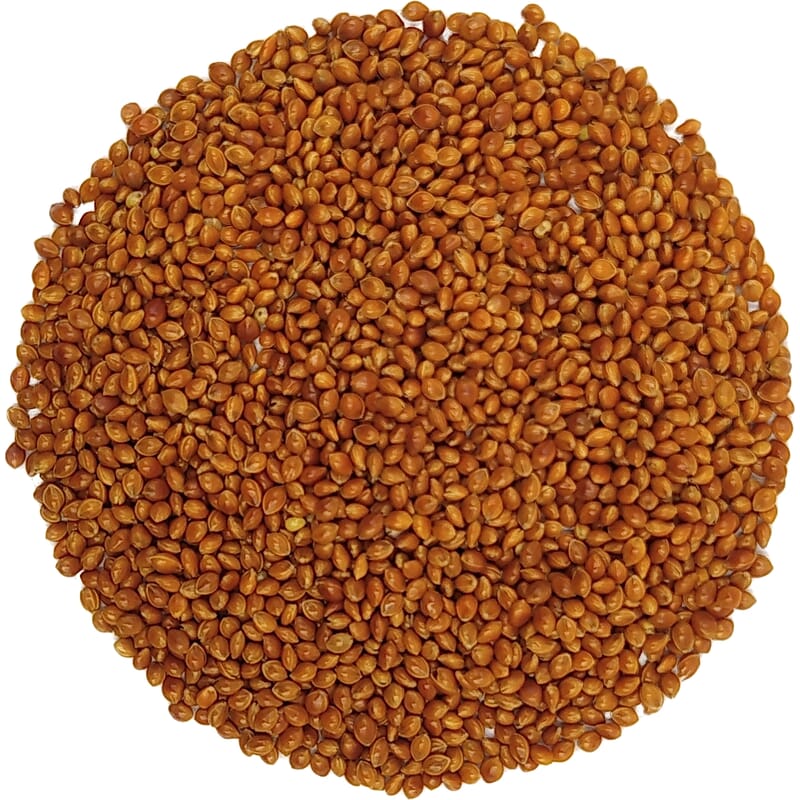 Sprouted millet organic – Pit&Pit EN