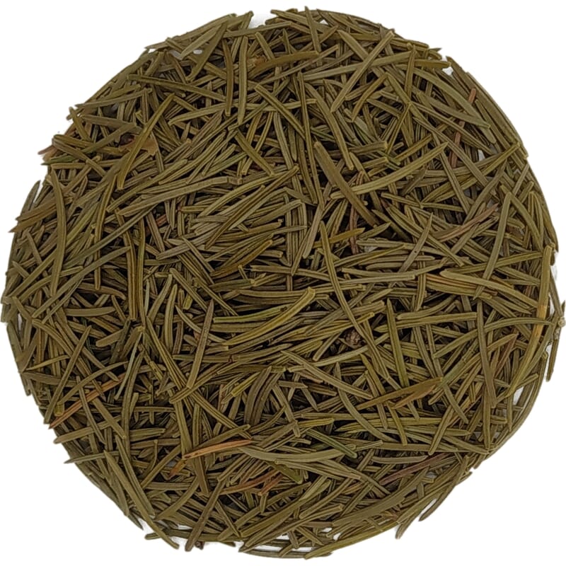 Spruce needles – Pit&Pit EN