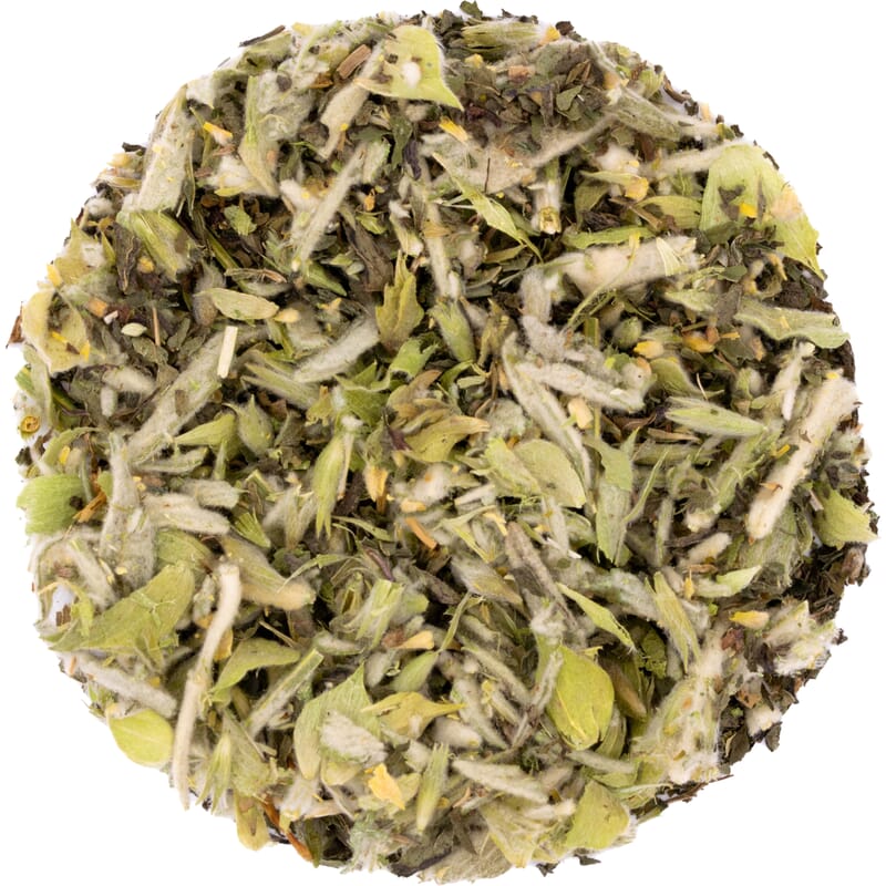 Greek mountain tea with mint – Pit&Pit EN